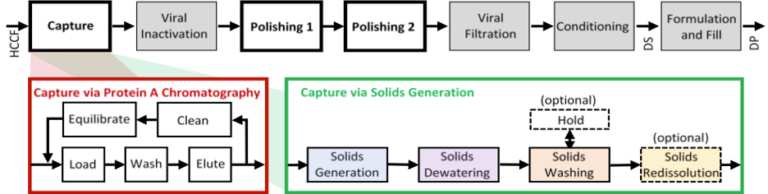 Novel Purification & Separation Processes for Therapeutic Proteins ...